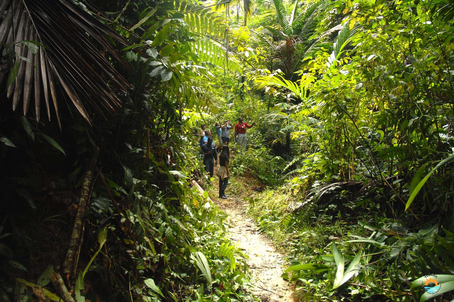 Peaceful places where you can immerse yourself in nature in Tobago